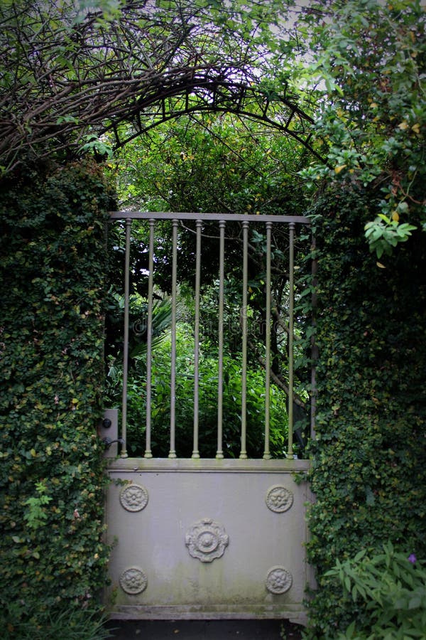 White Garden Gate Surrounded by Vines Stock Image - Image of green ...