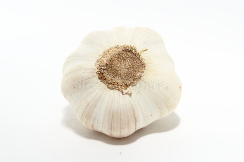 White garlic stock image. Image of organic, flavor, healthy - 14612535