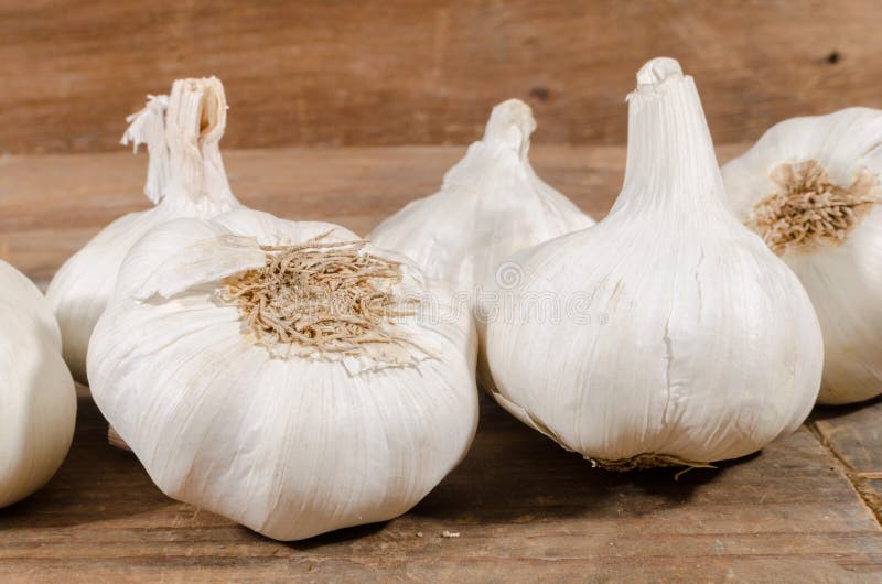 White garlic bulbs stock photo. Image of organic, nutrition - 54349360