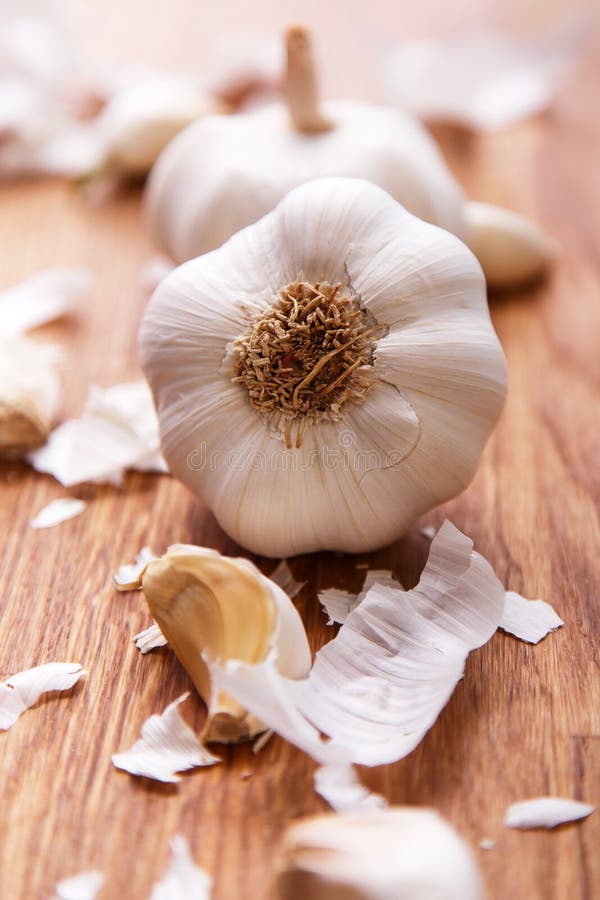 White garlic stock image. Image of fresh, plant, food - 47767287