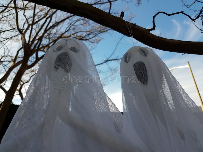 White Ghost Decoration Hanging from Tree Branch Stock Photo - Image of ...