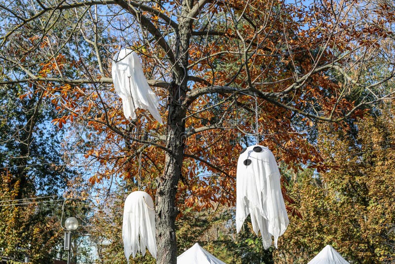 White Ghosts Hanging on a Tree with a Halloween Party. Stock Image ...