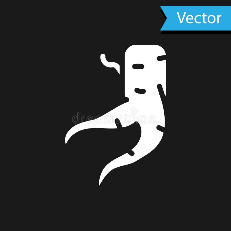 White Ginger Root Icon Isolated on Black Background. Vector Stock ...