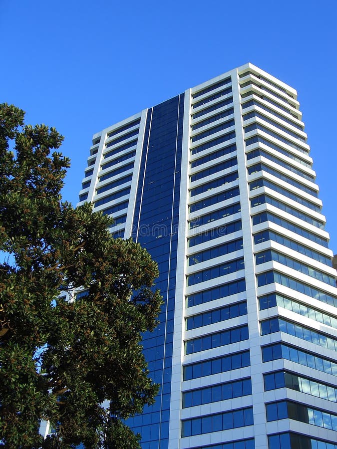 White Glass Building Behind Tr Stock Image - Image of industrial, large ...