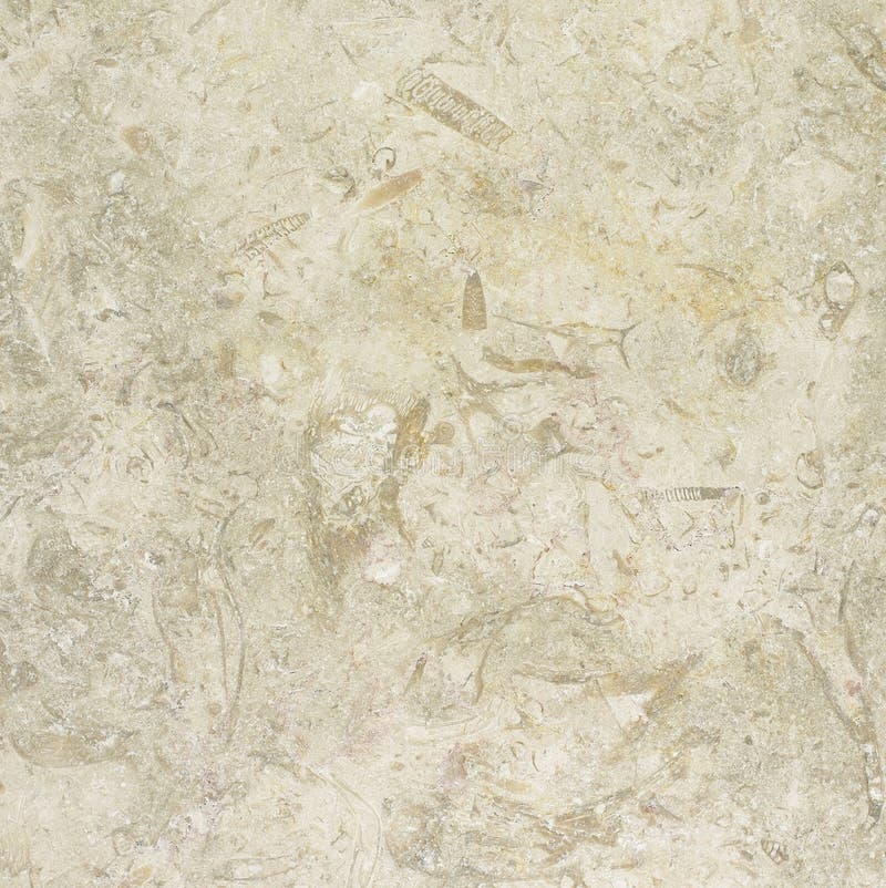Seamless Limestone Texture