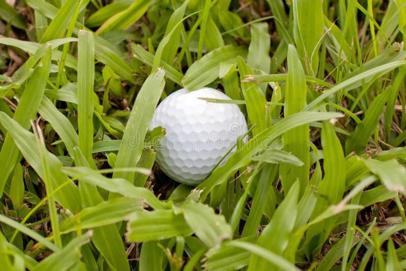 White Golf Ball Drop in Heavy Rough Stock Image - Image of object, mood ...