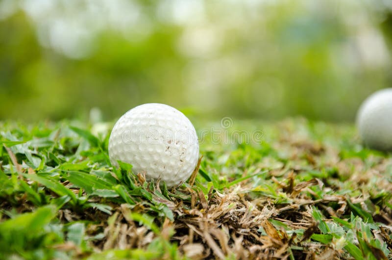 White golf ball stock photo. Image of copy, green, outdoors - 44255112