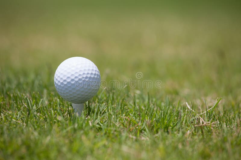 White Golf Ball on a Tee on Green Grass Perfect Golf Stock Image ...