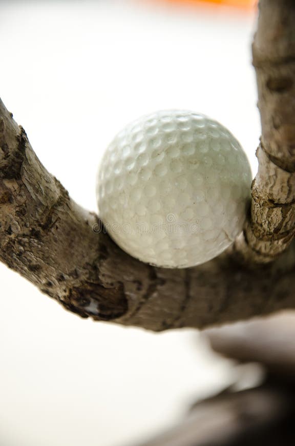 White golf ball stock image. Image of fairway, leisure - 44254625