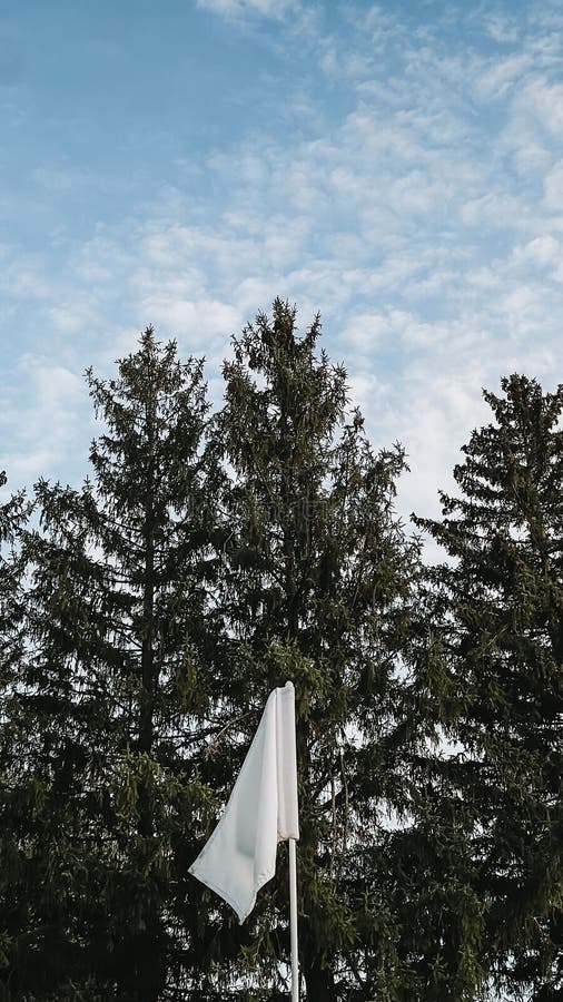 White Golf Flag with Trees and Sky Stock Photo - Image of outdoor ...