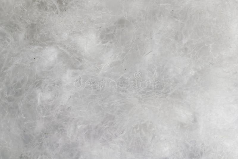 White Goose Down on a Black Background Stock Image - Image of texture ...