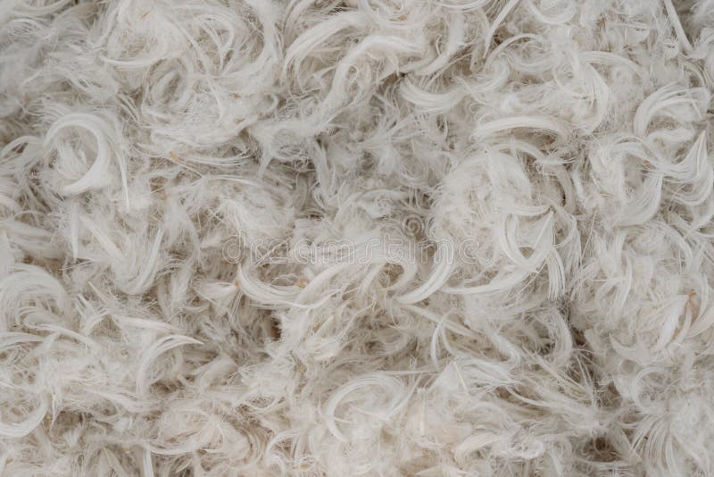 White Goose Feathers and Fluff from Pillows Texture Stock Image - Image ...