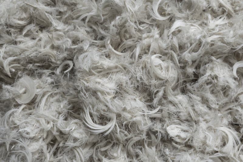 White Goose Feathers and Fluff from Pillows Texture Background Stock ...
