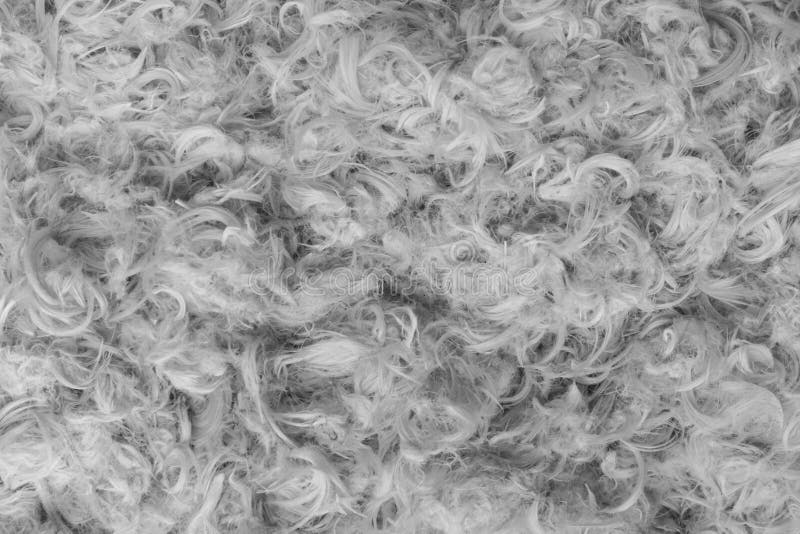 White Goose Feathers and Fluff from Pillows Texture Background Stock ...