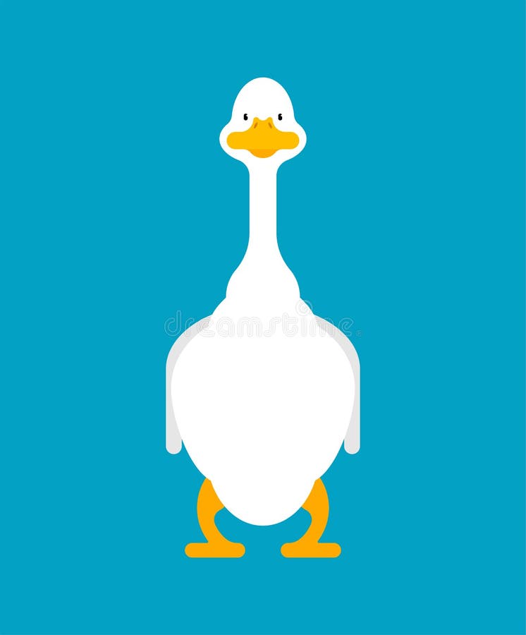 Goose Front View Stock Illustrations – 1,184 Goose Front View Stock ...