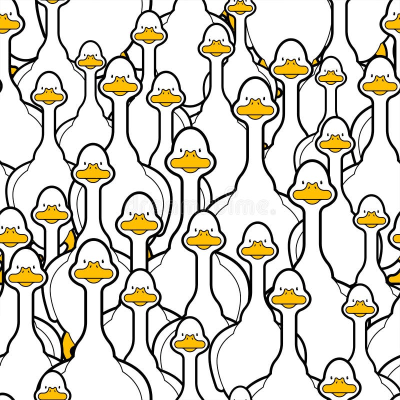 White Goose Front View Isolated. Domestic Waterfowl Stock Vector ...