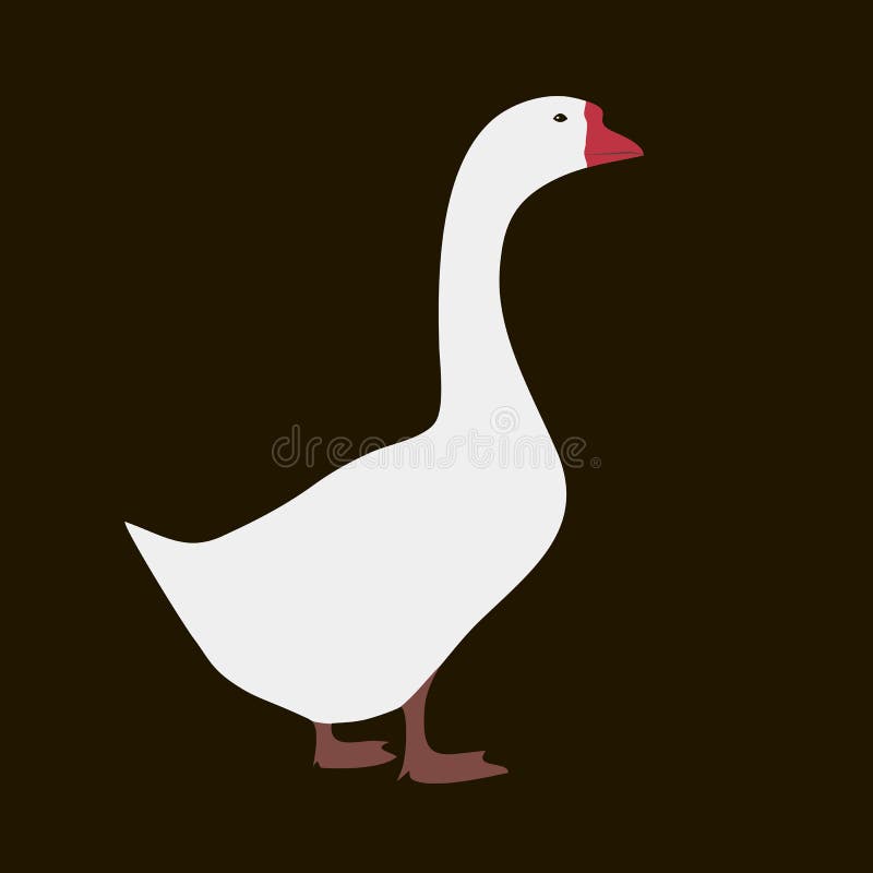 White Goose Bird Cartoon Illustration Animal Character Stock ...