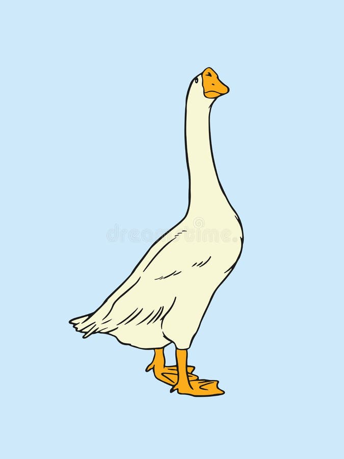 White Goose Standing : Base Color on Light Blue Tone Stock Vector ...