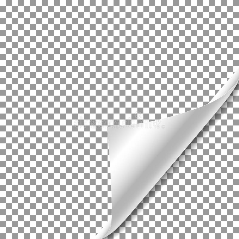 White Gradient Paper Curl with Shadow Isolated Stock Illustration ...