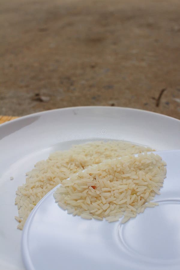 White Grain Rice on a White Plate. Stock Photo - Image of ceramic ...
