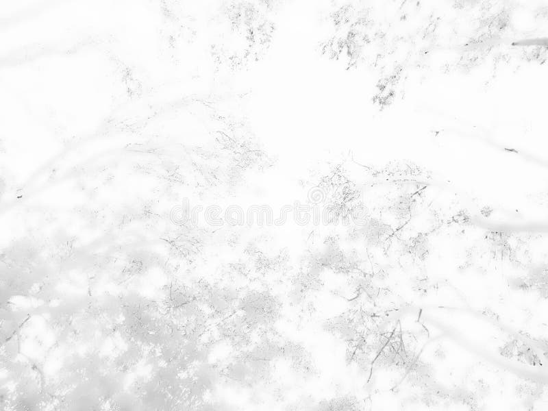 Polished White Granite Texture