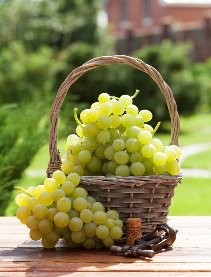 White grape stock photo. Image of green, healthy, leaves - 88337790