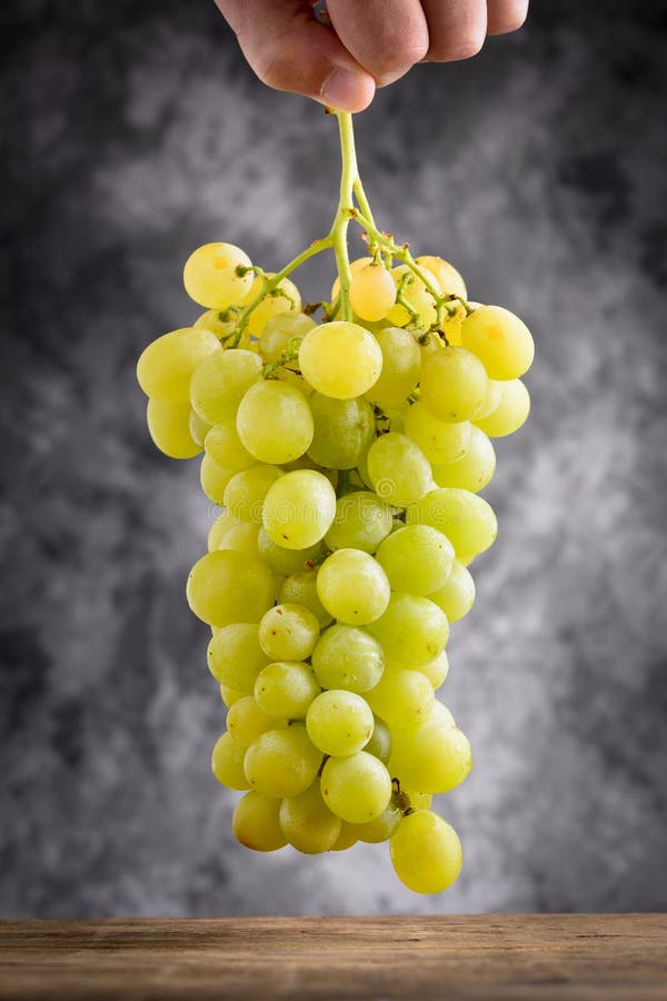 White grape stock image. Image of ingredient, bunch, agriculture - 34099701