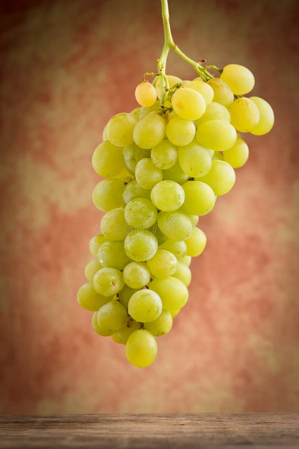 White grape stock photo. Image of grape, healthy, ingredient - 34099792