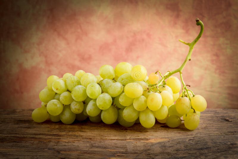 White grape stock photo. Image of agriculture, stem, nature - 34099856