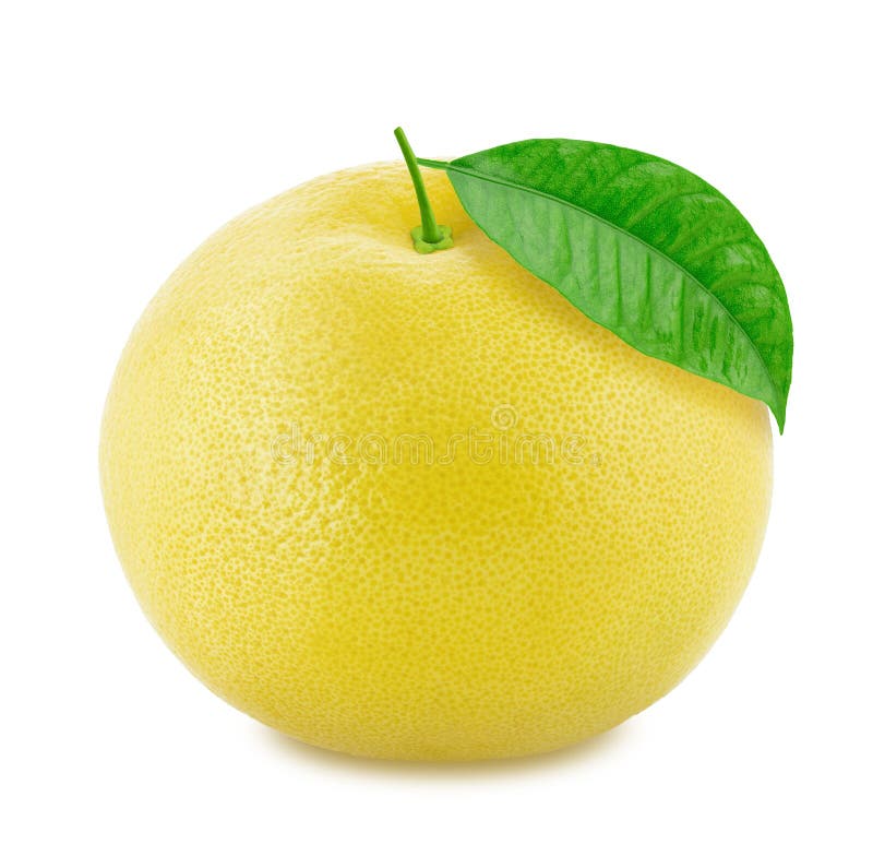 White Grapefruit Isolated on a White Background Stock Image - Image of ...