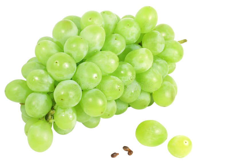 White grapes stock photo. Image of healthy, fresh, fizz - 5408494