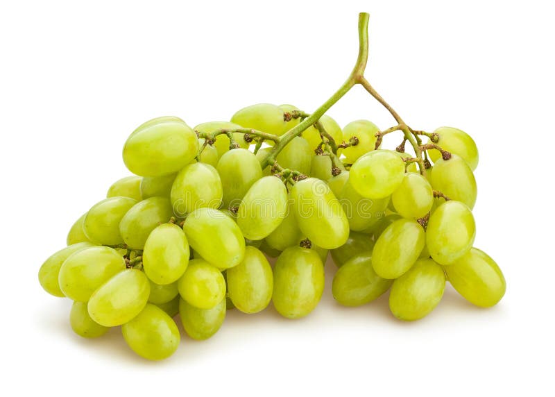 White grapes cluster small stock photo. Image of small - 32667268