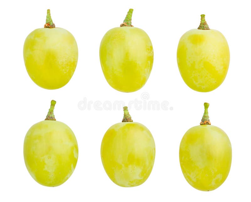 White grapes cluster small stock photo. Image of small - 32667268