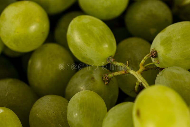 White grapes close-up stock image. Image of grapes, yellow - 45277823