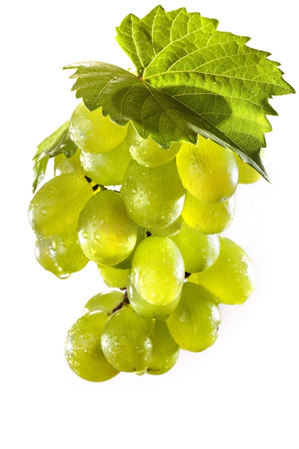 White grapes stock image. Image of freshness, agriculture - 32749773