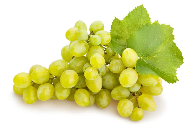 White grapes cluster small stock photo. Image of small - 32667268