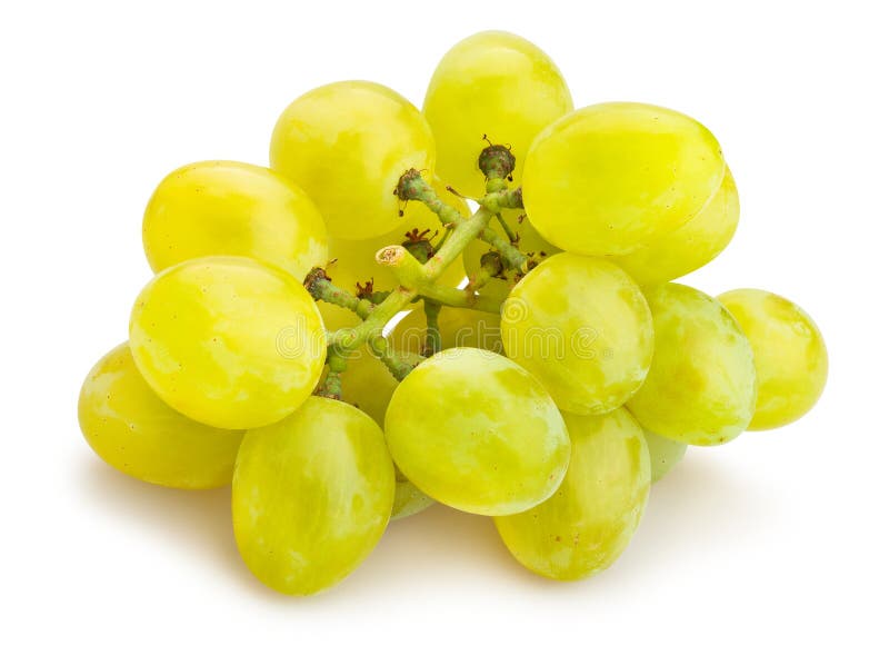 White grapes cluster small stock photo. Image of small - 32667268