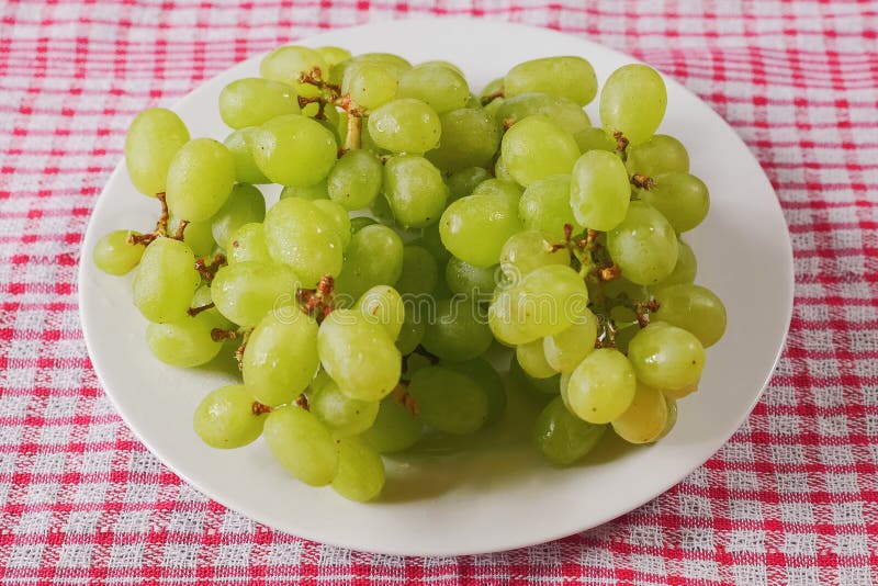 White Grapes on White Plate on a Simple Red and White Table Cloth Stock ...