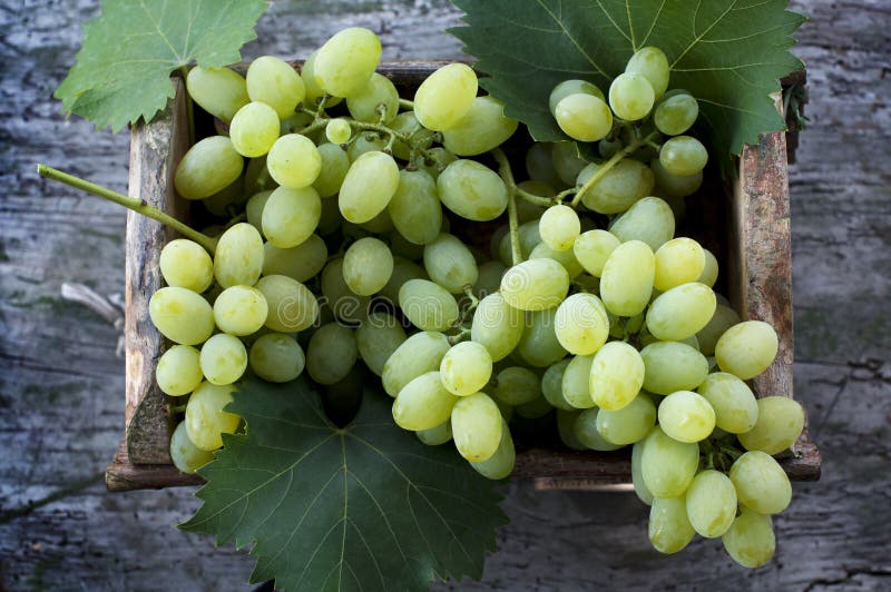 White Grapes in a Wooden Box Stock Image - Image of grapes, ripe: 98696535
