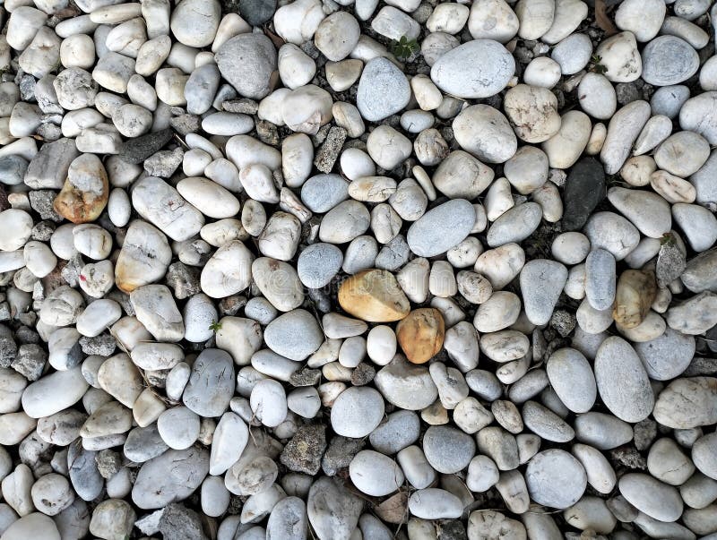 White Gravel, Seamless Plain White Gravel Texture Background from Above ...