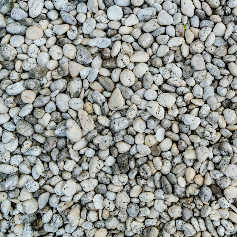 White gravel texture stock image. Image of rough, grain - 99009435