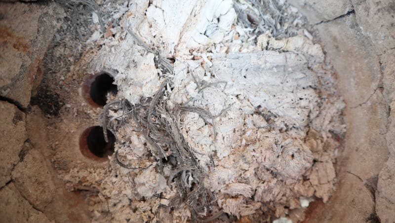 White and Gray Powder in a Brick Oven Stock Photo - Image of powder ...