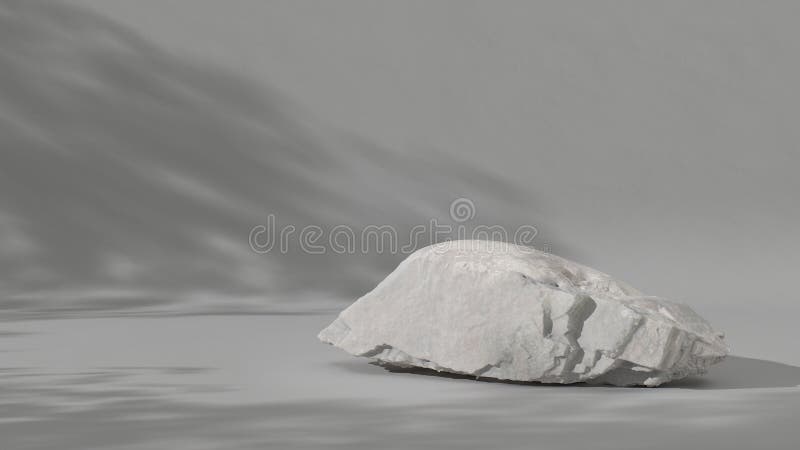 White-gray Rocks on a Smooth Surface with Shadows of Trees in the ...