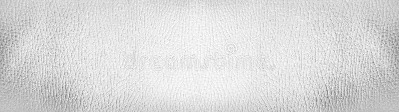 White Gray Rustic Leather - Background Banner Panorama Long Stock Image ...