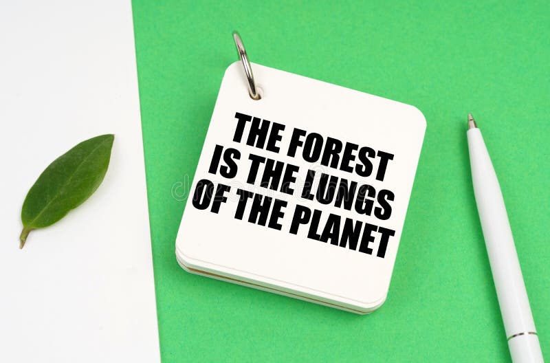 On a White-green Surface, a Piece of Paper, a Pen and a Notepad with ...