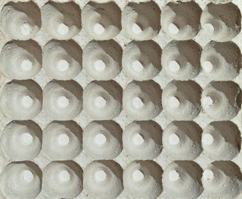 White and Grey Empty Egg Carton, Recyclable Egg Container Made of Pulp ...