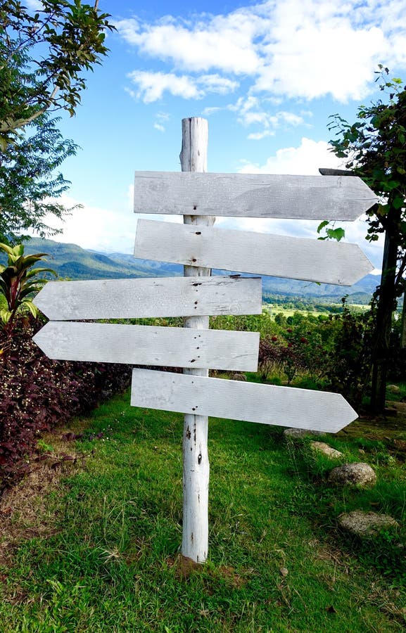 White guidepost stock photo. Image of golden, outdoor - 63112232