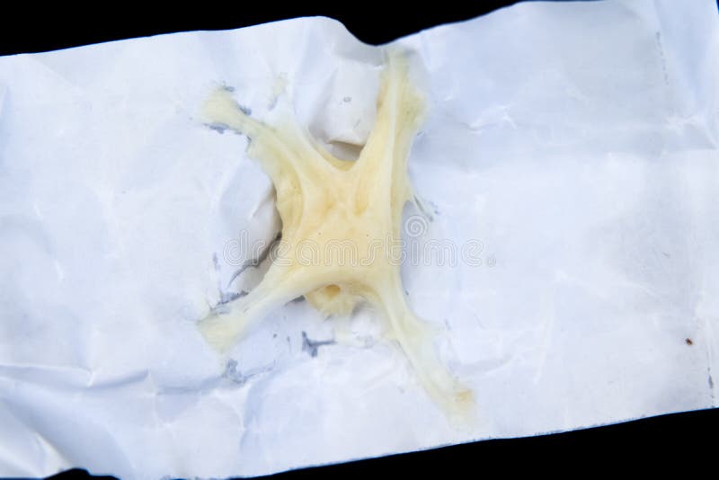 Empty Chewing Gum Package Stock Photos - Free & Royalty-Free Stock ...