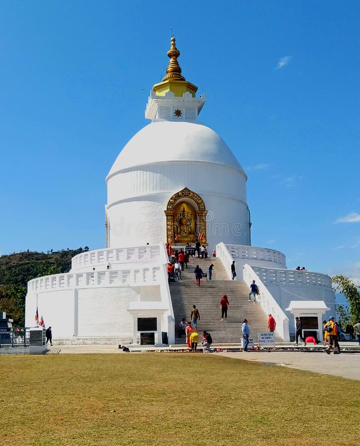 277 Gumba Stock Photos - Free & Royalty-Free Stock Photos from Dreamstime