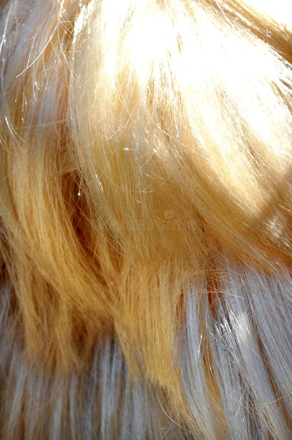 White hair texture stock image. Image of shiny, haircut - 70819901